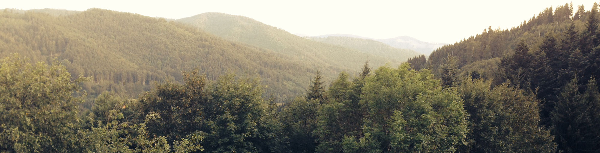 The Brookridge Group | South West Timber Merchants | Home