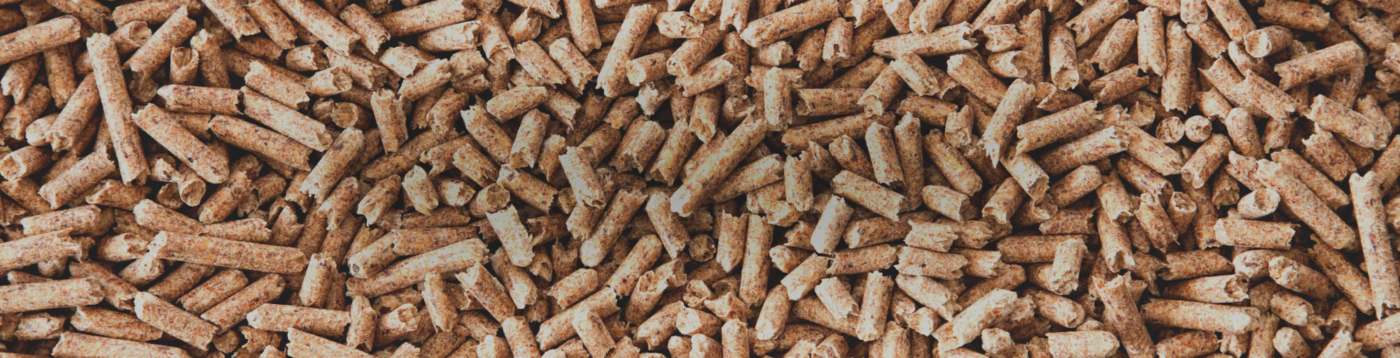 The Brookridge Group | South West Timber Merchants | Home